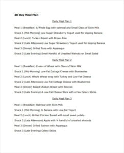 Fast Metabolism Diet Meal Plan Template