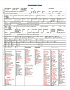 Printable Crime Report Template