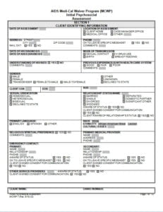 Psychosocial Assessment Template