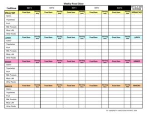 Free Printable Meal Log Template