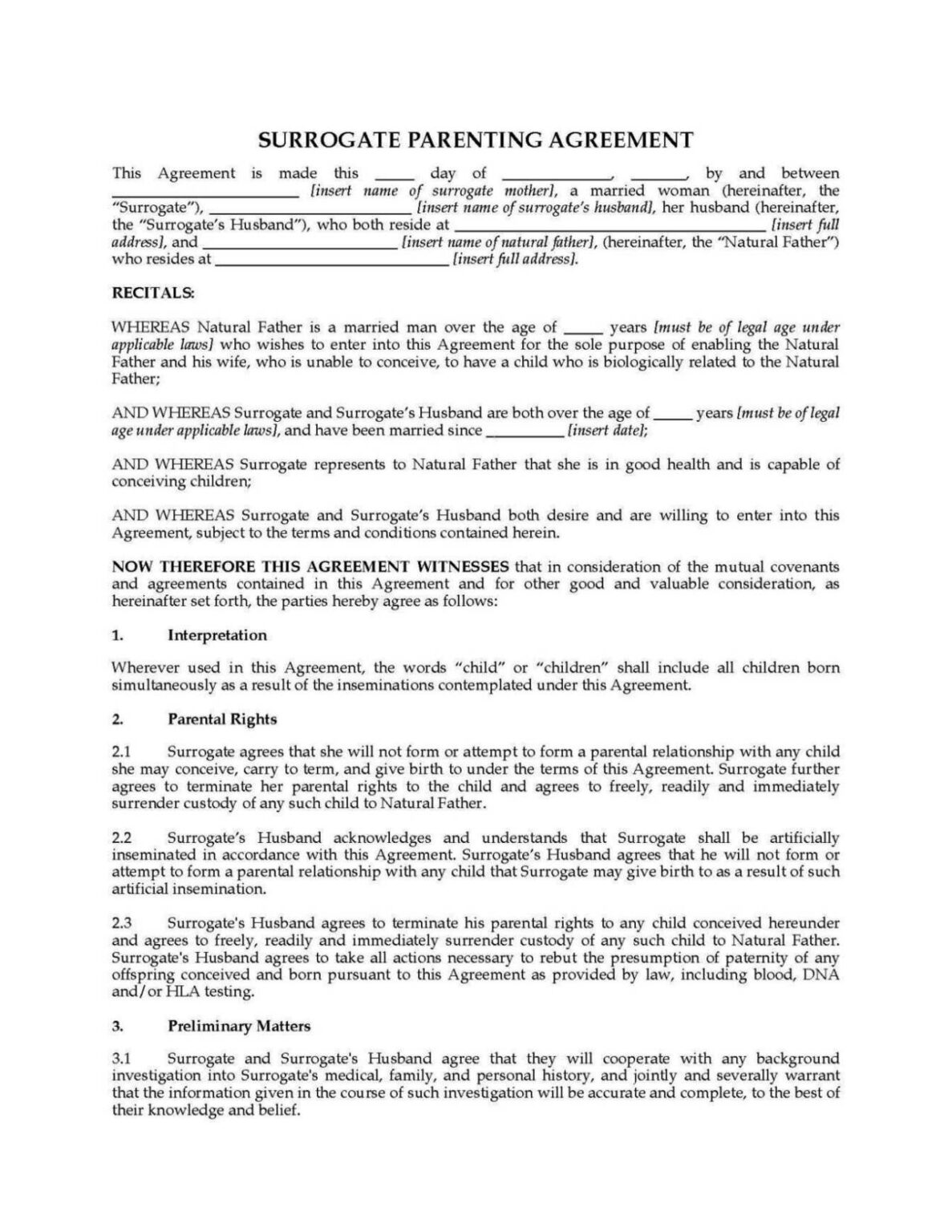 Parenting Agreement Template Word