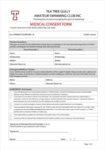Printable Medical Consent Form