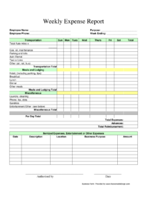 Printable Weekly Expense Report Template