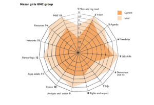Printable Spider Chart Template