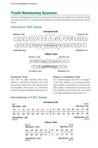Printable Dental Chart Template