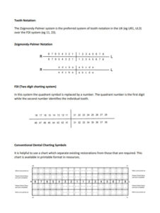 Printable Dental Chart Template