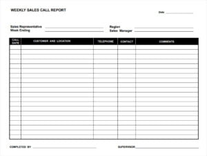 Sales Call Report Template