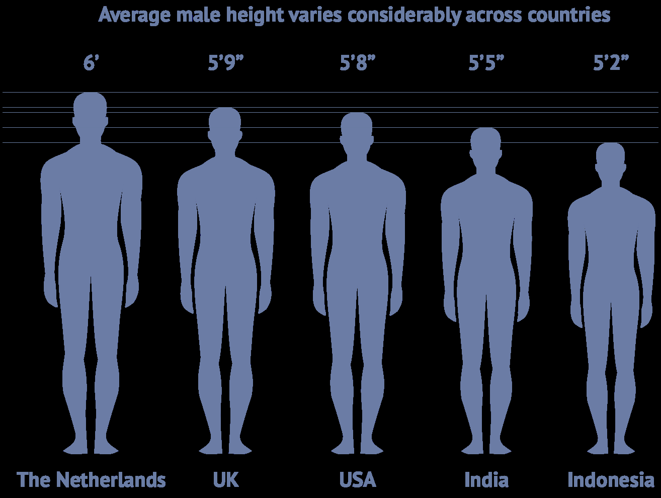 Height Chart Template Height Chart Template