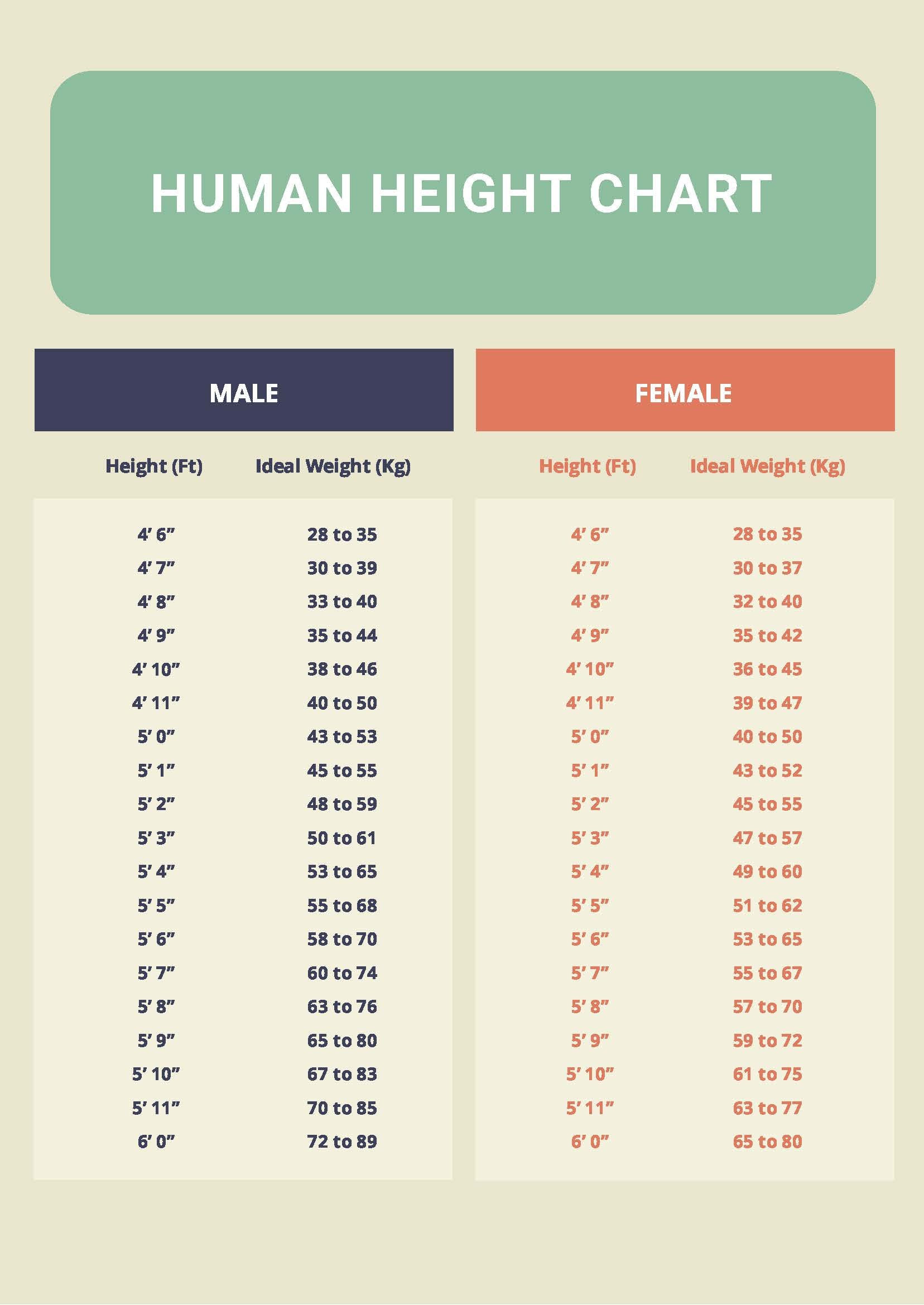 Height Chart Template Height Chart Template
