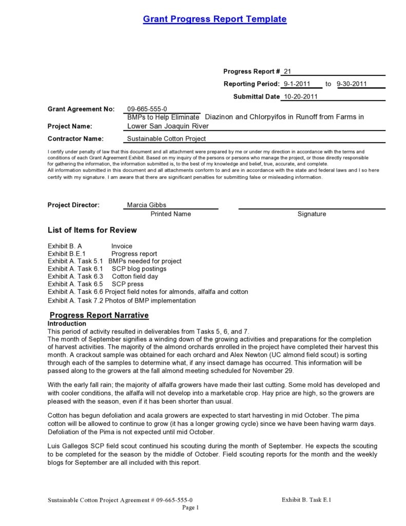 Progress Report Template (Word)